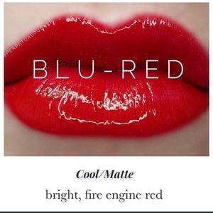 LipSense | Makeup | Blured Lipsense | Poshmark